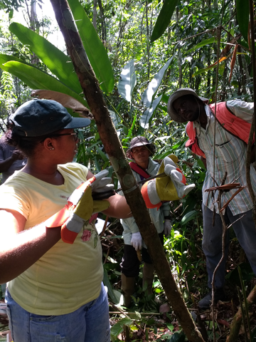 Field Work | PhD of Biodiversity