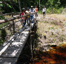 Field Work | PhD of Biodiversity