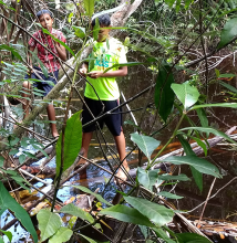 Field Work | PhD of Biodiversity